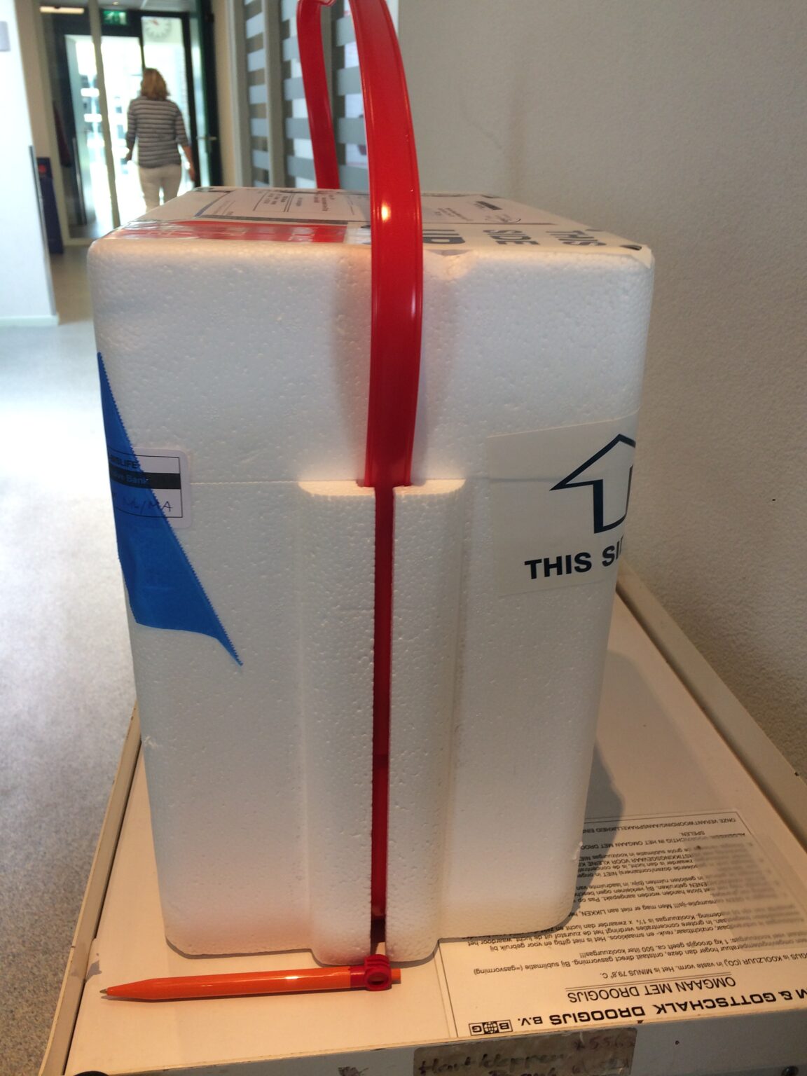 Safe transport of donor material? - HSV